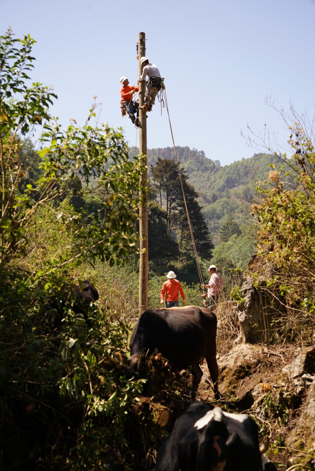 There is light! – Project Indiana